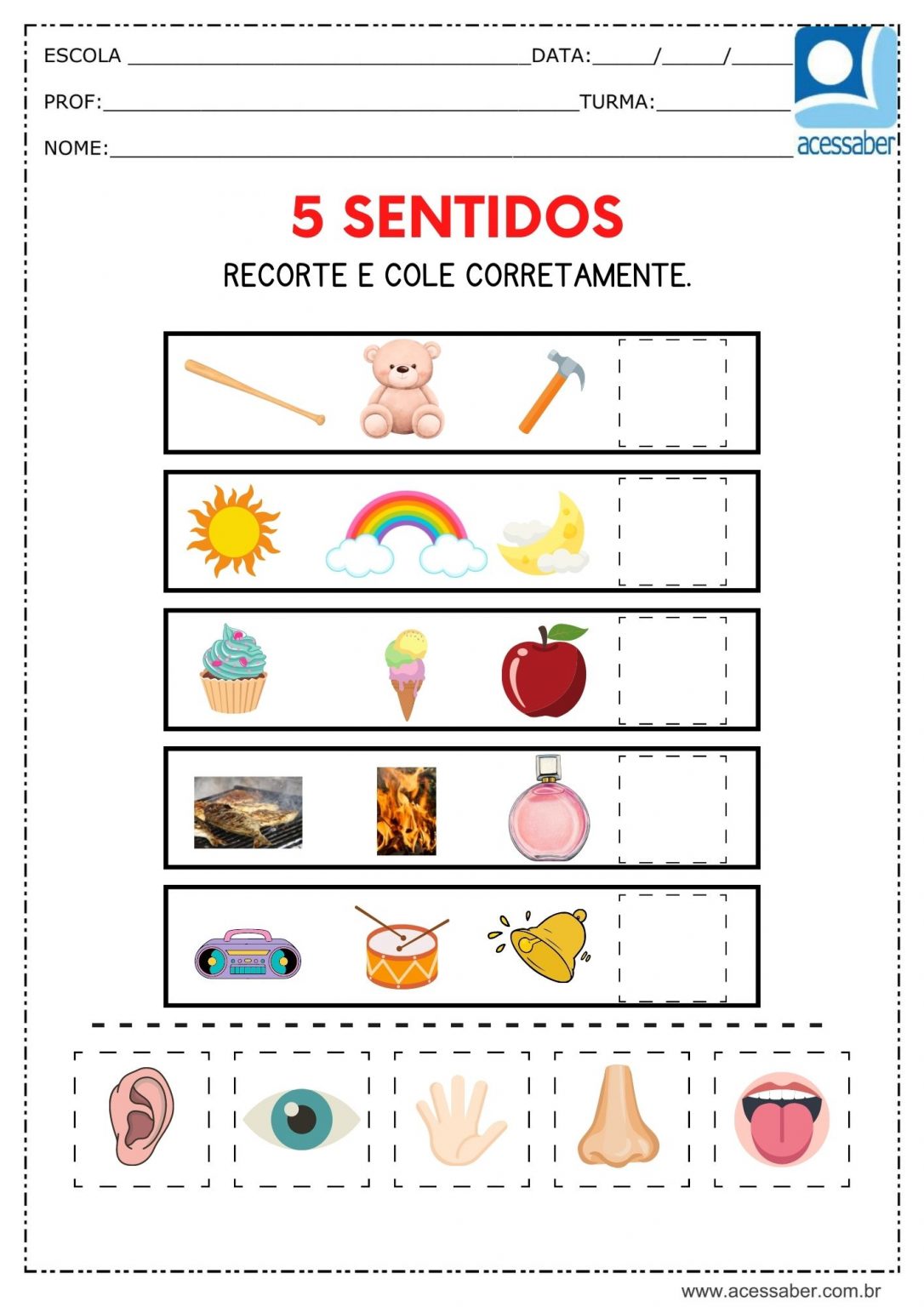 Atividade de ciências: Os cinco sentidos - 1º ano e 2º ano - Acessaber