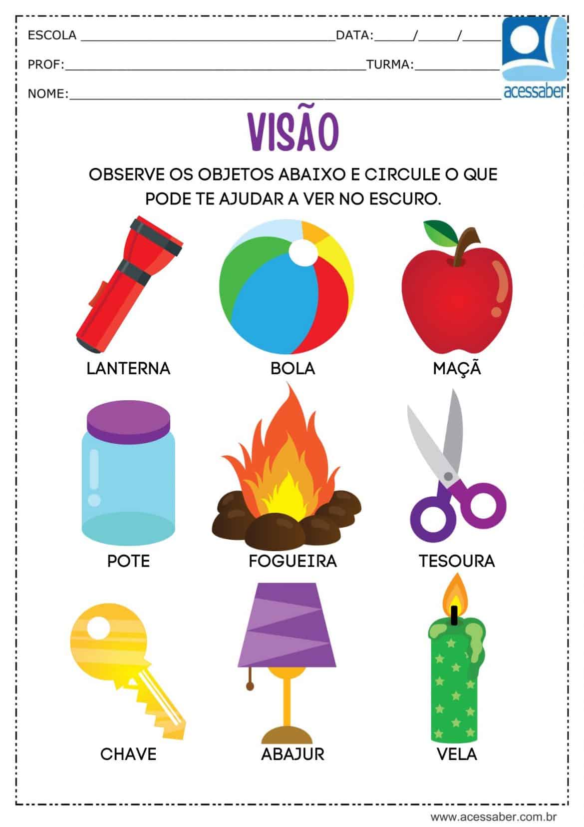 Atividade de ciências: O sentido da visão - Ed. Infantil e 1º ano ...
